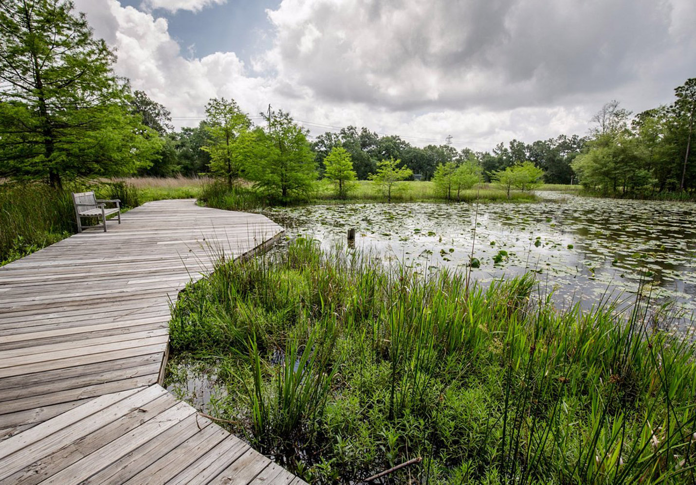 Houston’s Best Views: Where to Take Stunning Photos in the City – My ...
